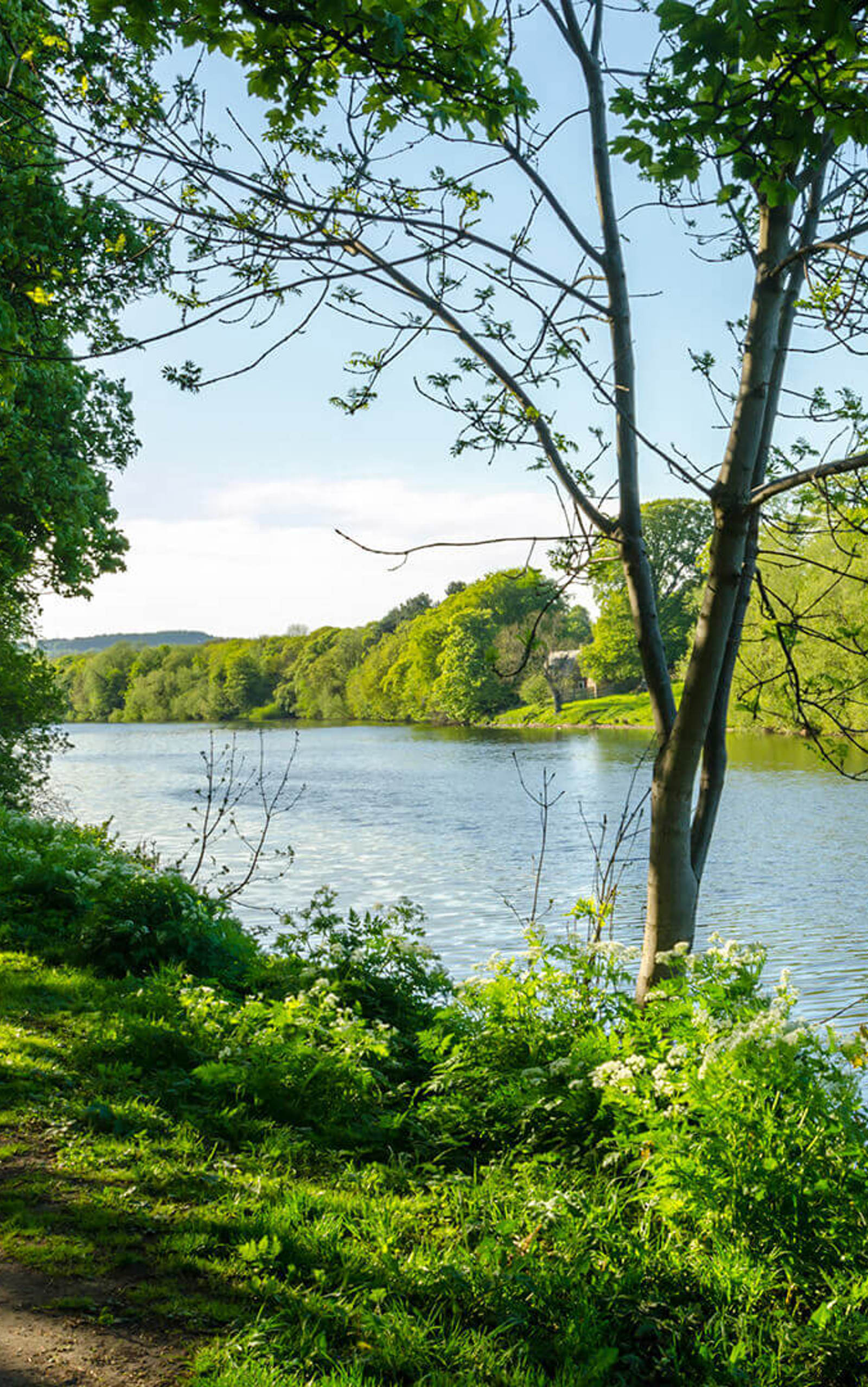 The River Tyne Trail | Long Walk | Visit Hadrian's Wall | Visit ...